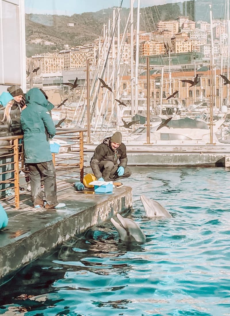 Acquario di Genova: scoprire il mondo sottomarino con i bambini • Dammi ...